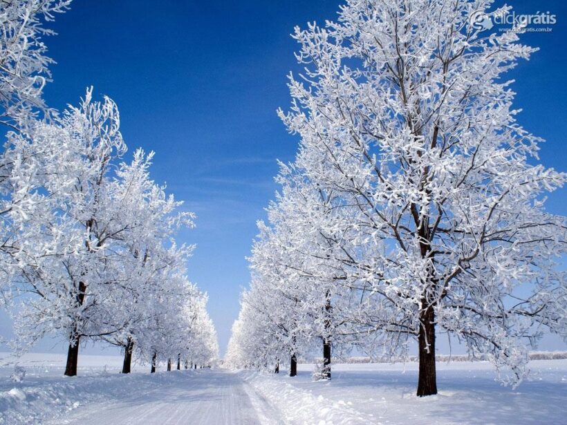 As Estações do Ano