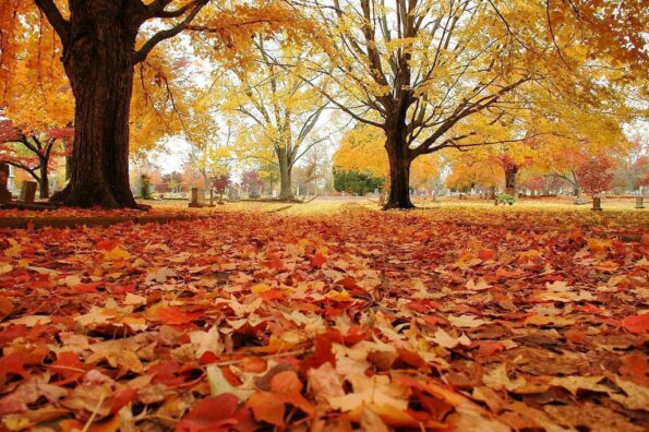 As Estações do Ano
