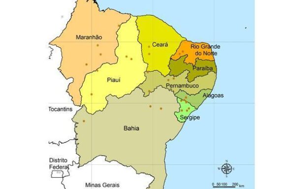 Agreste: cultura, vegetação e características [resumo]