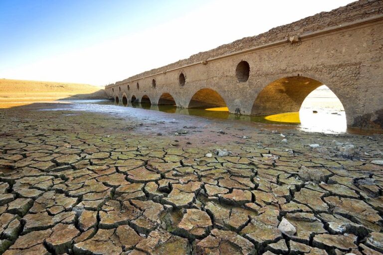 Desastres Naturais: exemplos no Brasil e no Mundo [resumo]
