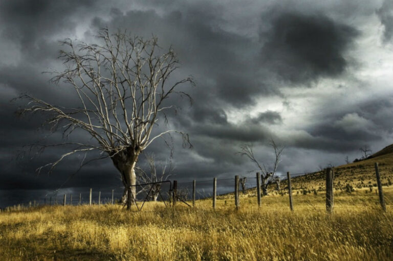 Desastres Naturais: exemplos no Brasil e no Mundo [resumo]