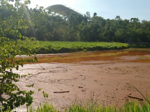 Assoreamento: causas, consequências e como evitar [resumo]