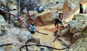 Extrativismo: definição, tipos e características [resumo]