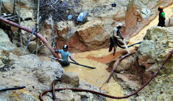 Extrativismo: definição, tipos e características [resumo]