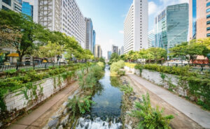 Economia verde: o que é, exemplos e como funciona no Brasil (RESUMO)