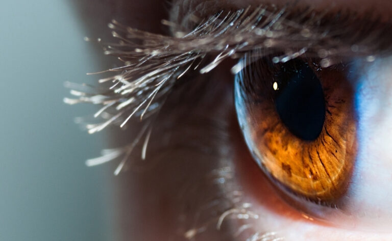 Sistema sensorial: saiba como funciona a captação dos nossos sentidos