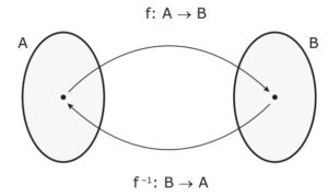 Função composta: definição, exemplos e exercícios