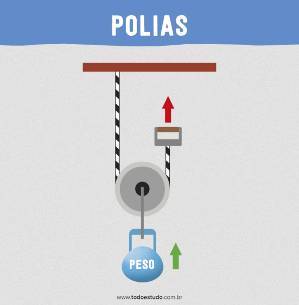 Polias: o que são, os seus tipos e exercícios resolvidos