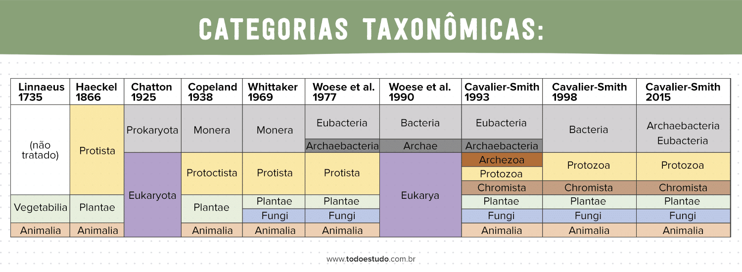 Classificação dos seres vivos: conheça como é feita