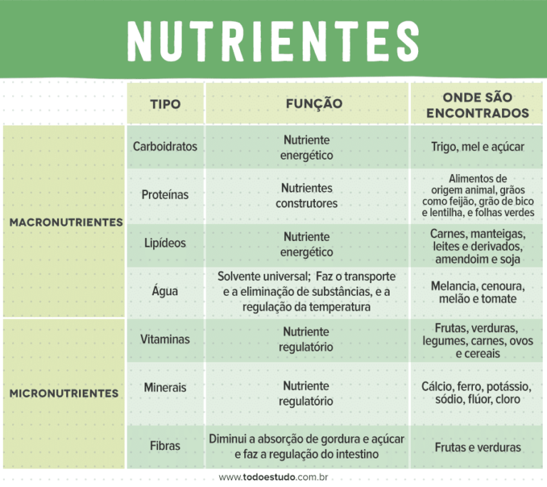 Nutrientes: entenda a sua importância e onde podemos encontrá-los
