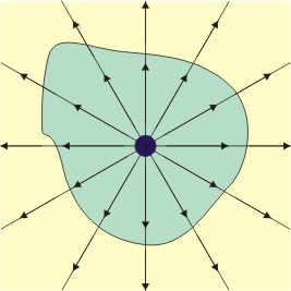 Equações de Maxwell: definições, exemplos e exercícios