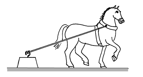 Força resultante: o que é, fórmula, exemplos e exercícios