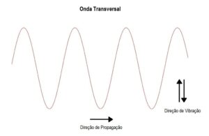 Ondas transversais: o que são, exemplos, exercícios e mais