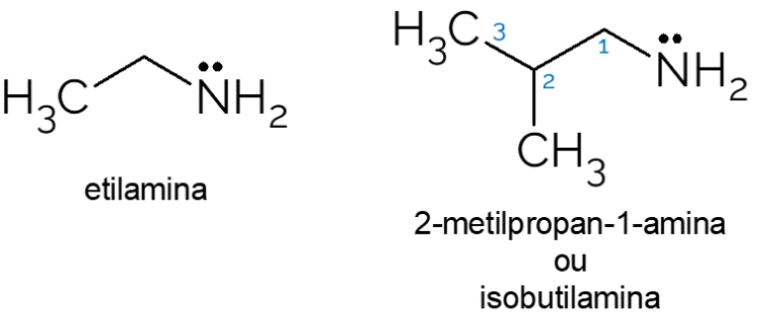 Amina: o que é, tipos e exemplos de compostos dessa função nitrogenada.