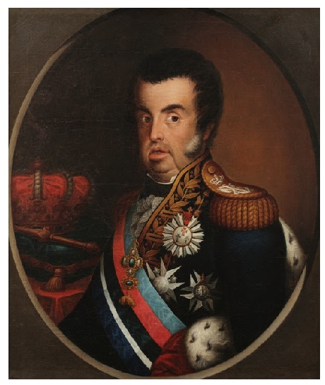 Dom João VI: biografia, governo, curiosidades e muito mais!